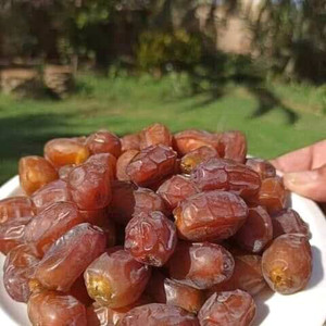 Watch Blhaj Blhaj Live Stream on BIGO LIVE